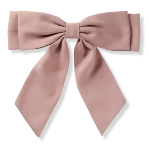 SCUNCI Primp Bow Barrette - One-color