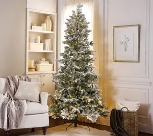 VALERIE PARR HILL 9' Twinkling Snow Kissed Spruce Tree Valerie - One-color