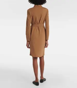Max Mara Dorema Belted Minidress