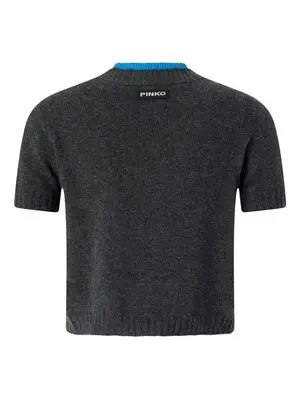 Pinko Savannah Sweater