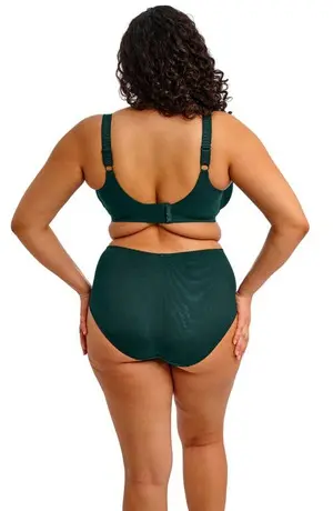 Elomi Cate Allure Underwire Bra - Deep Emerald