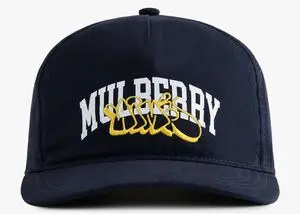 Aimé Leon Dore Mulberry Throwy Cap