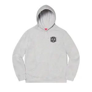 Supreme Anti Hooded Sweatshirt - Grey