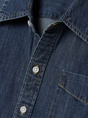 Denimist Denim Shirt