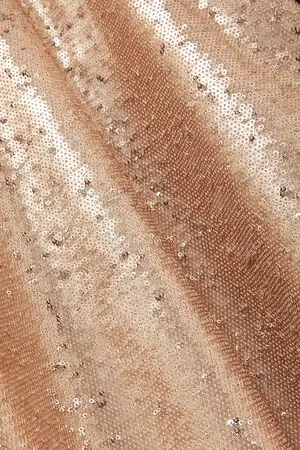 RASARIO Sequined Crepe Gown