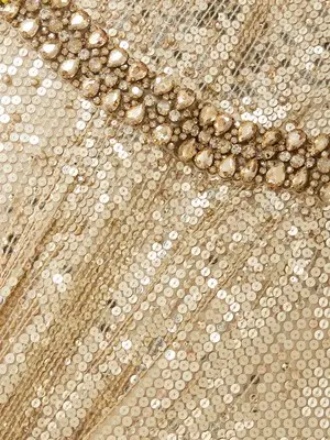 Jenny Packham Georgia Embellished Sequined Tulle Gown
