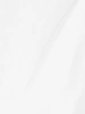 Staud Vaga Linen Corset Top