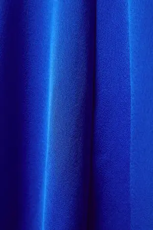 RASARIO Duchesse-satin Gown