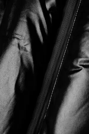 Aztech Mountain Daisy Nuke Cropped Down Jacket