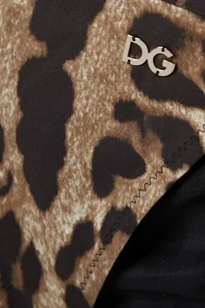 Dolce & Gabbana Leopard-print Bikini Briefs - Animal Print