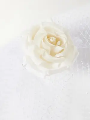 RODARTE Embellished Silk-tulle Veil