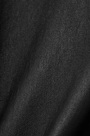 JOSEPH Den Cropped Leather Pants