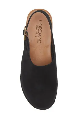 Cordani Wilkes Platform Clog - Black Suede