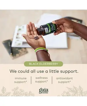 GAIA HERBS Black Elderberry
