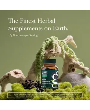 GAIA HERBS Black Elderberry