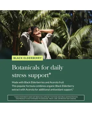 GAIA HERBS Black Elderberry