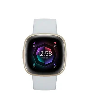 FITBIT Sense 2 Smartwatch - Blue Mist,soft Gold-tone