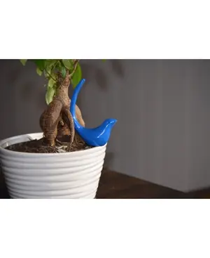 VIBHSA Bird Ring Holder