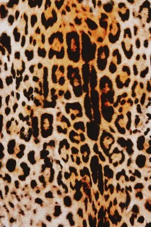 Halpern Open-back Leopard-print Maxi Dress