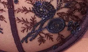 Simone Perele Intrigue Sheer Underwire Demi Bra - Fig