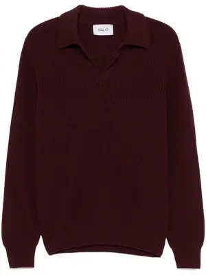 D4.0 Virgin Wool Polo Sweater
