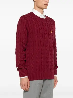Polo Ralph Lauren Driver Sweater