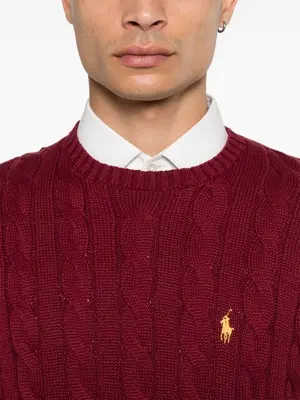 Polo Ralph Lauren Driver Sweater