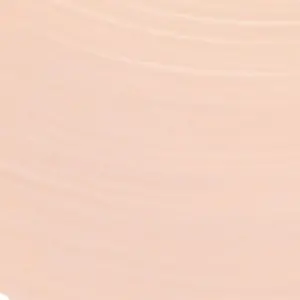CHANTECAILLE Future Skin Cushion Skincare Foundation