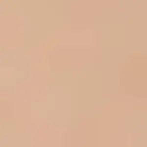 MAC COSMETICS Studio Radiance Face And Body Foundation - Neutral