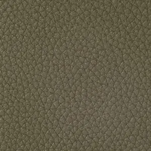 Loewe Leather Bifold Wallet - Green