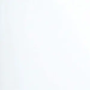 Moon Boot Icon Low Ankle Boots