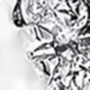 Graff Gold And Diamond Butterfly Earrings