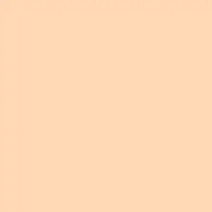 CLINIQUE Almost Powder Makeup Spf 15 - Neutral