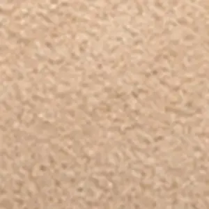 UGG Suede Tasman Slippers - Beige