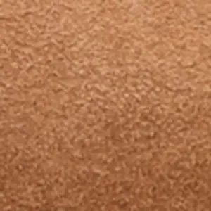 UGG Suede Tazz Slippers
