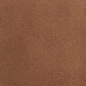 UGG Classic Ii Tall Boots