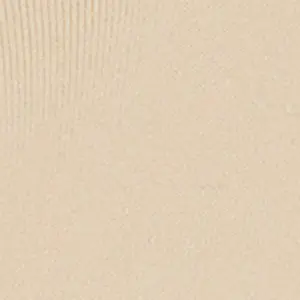 Falke Cotton Touch Socks - Nude