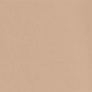 Max Mara Silk Shirt - Beige