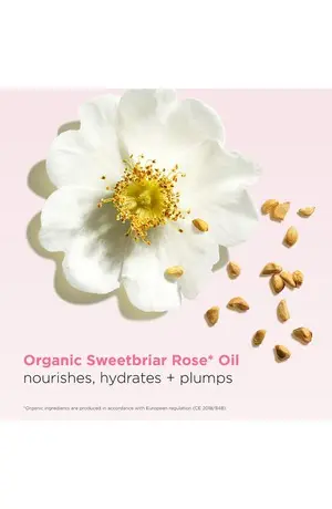 Clarins Hydrating Peptide & Plumping Lip Oil Balm - Pitaya