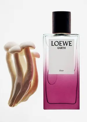 Loewe Elixir