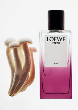 Loewe Elixir - Earth