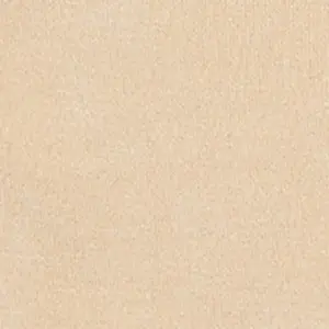 Falke Fine Softness Socks - Ivory