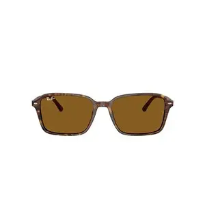 Ray-ban Raimond Sunglasses - Transparent Fantasy Brown