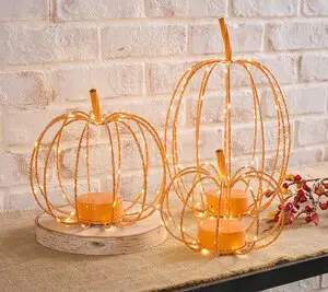 MARTHA STEWART Set Of 3 Indoor/outdoor Lit Wire Pumpkins - One-color