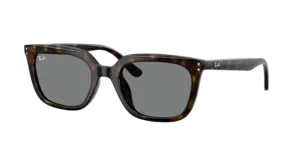 Ray-ban Ray-Ban Sunglasses Dark Grey