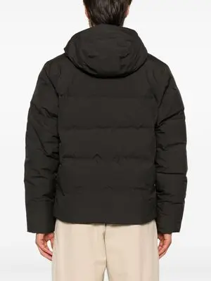 Patagonia Jackson Glacier Jacket