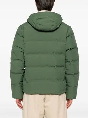 Patagonia Jackson Glacier Jacket - Green