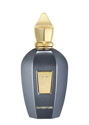 XERJOFF Ouverture Eau De Parfum Fragrance, Male
