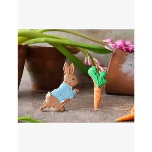 BISCUITEERS Peter Rabbit Letterbox Biscuits 15g