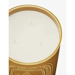 DIPTYQUE Ambre Scented Candle 600g